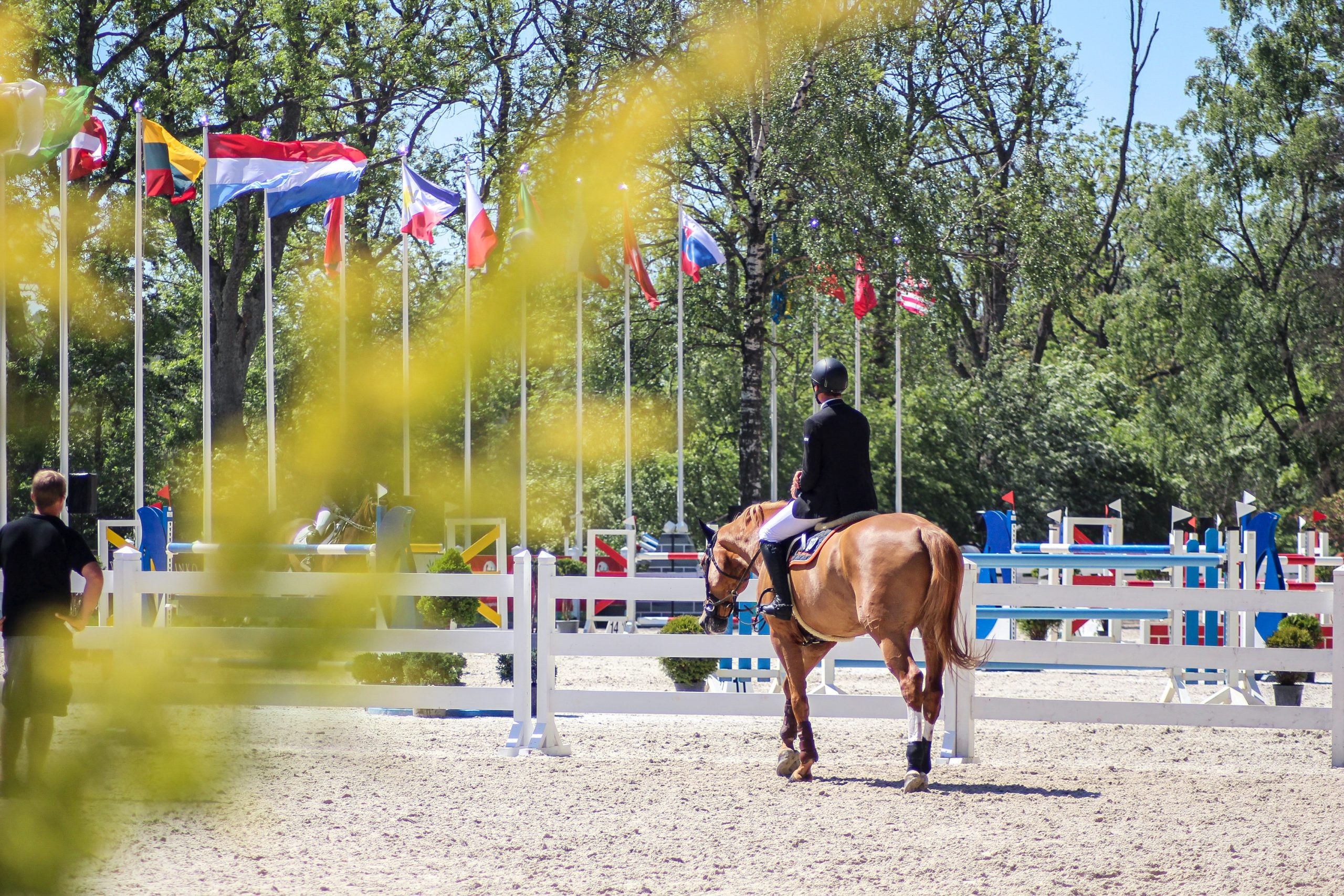 A History Of Equestrian Olympic Competition Cavallo Farms A History Of Equestrian Olympic Competition Cavallo Farms